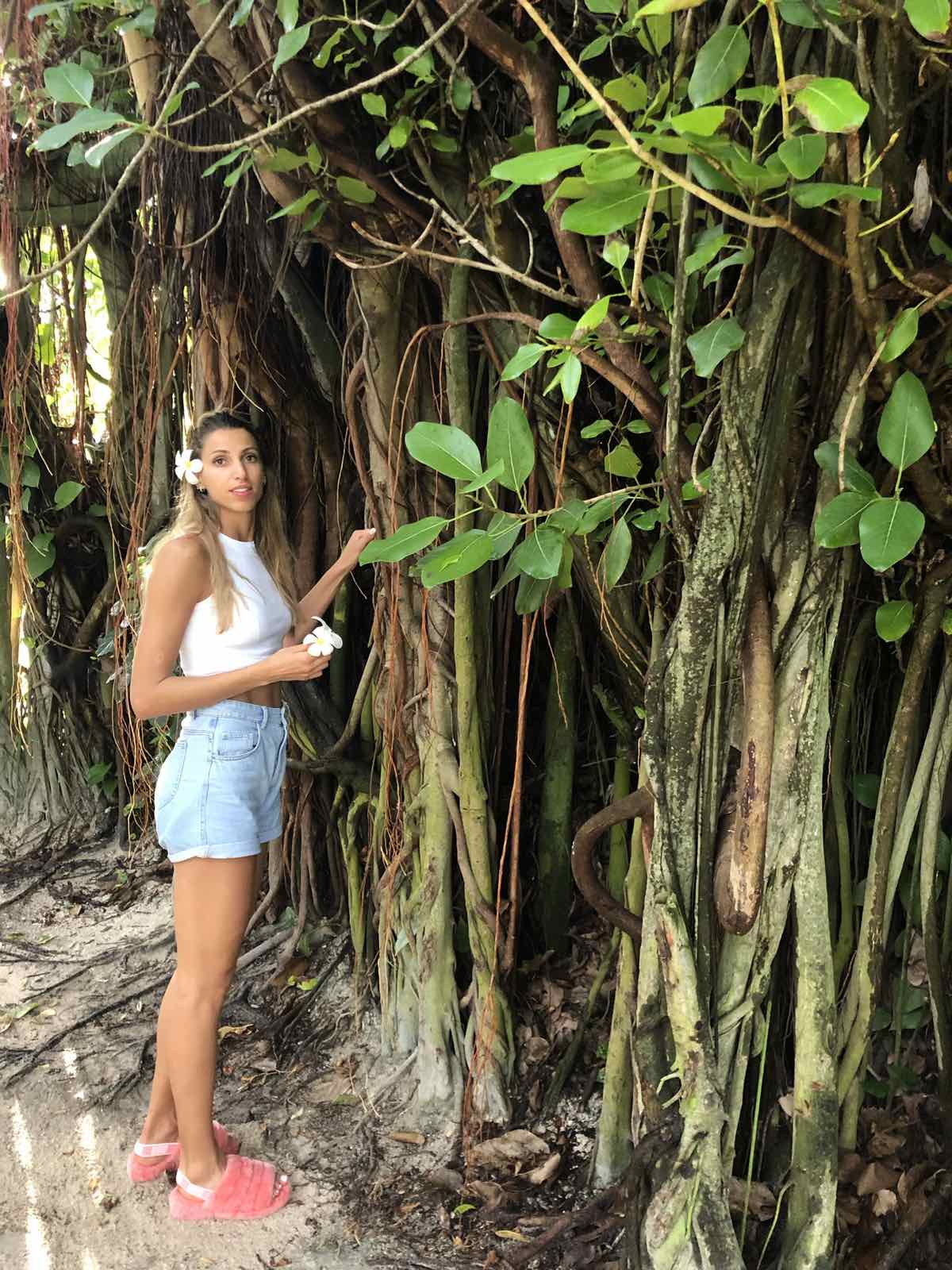 Vasileva | EuroVolley